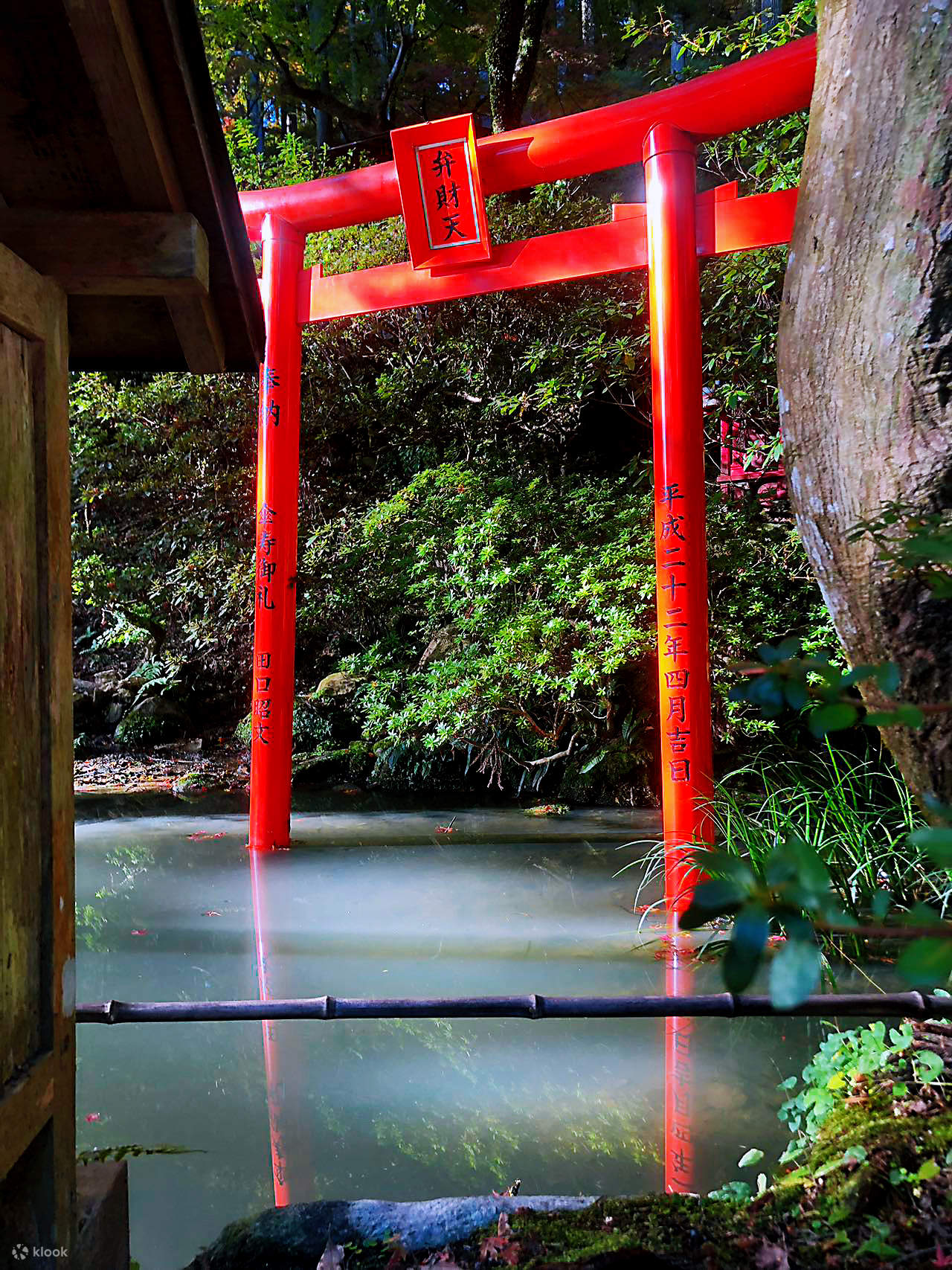 [Autumn Limited Time Offer] Kyushu Fall Foliage Day Tour | Raizan ...